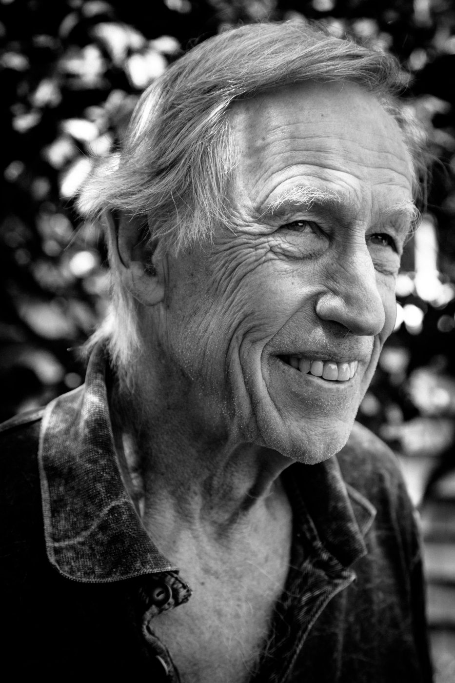 Beginning of the End: Bill Akin » Whalebone