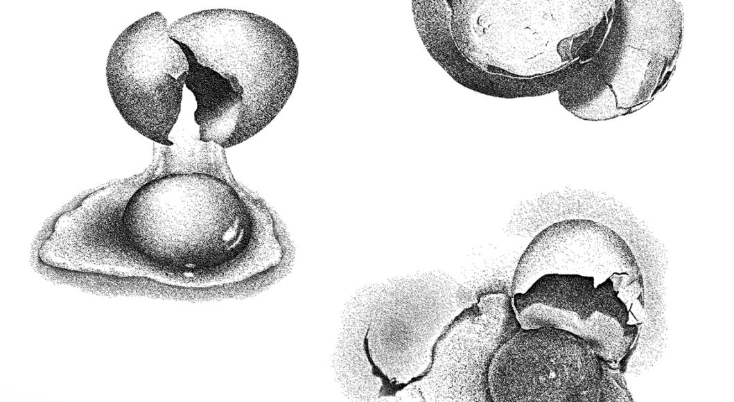 Food Ink. » Whalebone